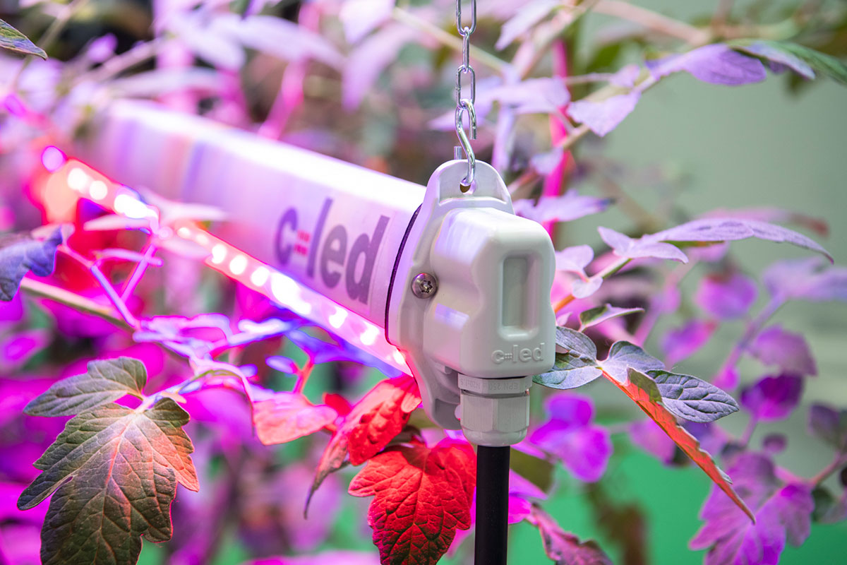 The Italian University of Bari chose the C-LED Inter-Light lamps | C-LED