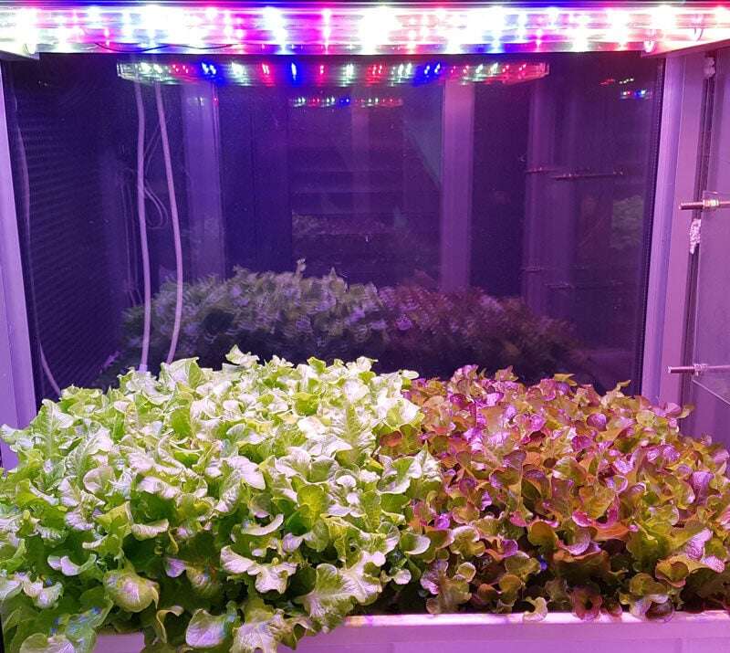 Academic research and industrial development projects to explore and ...