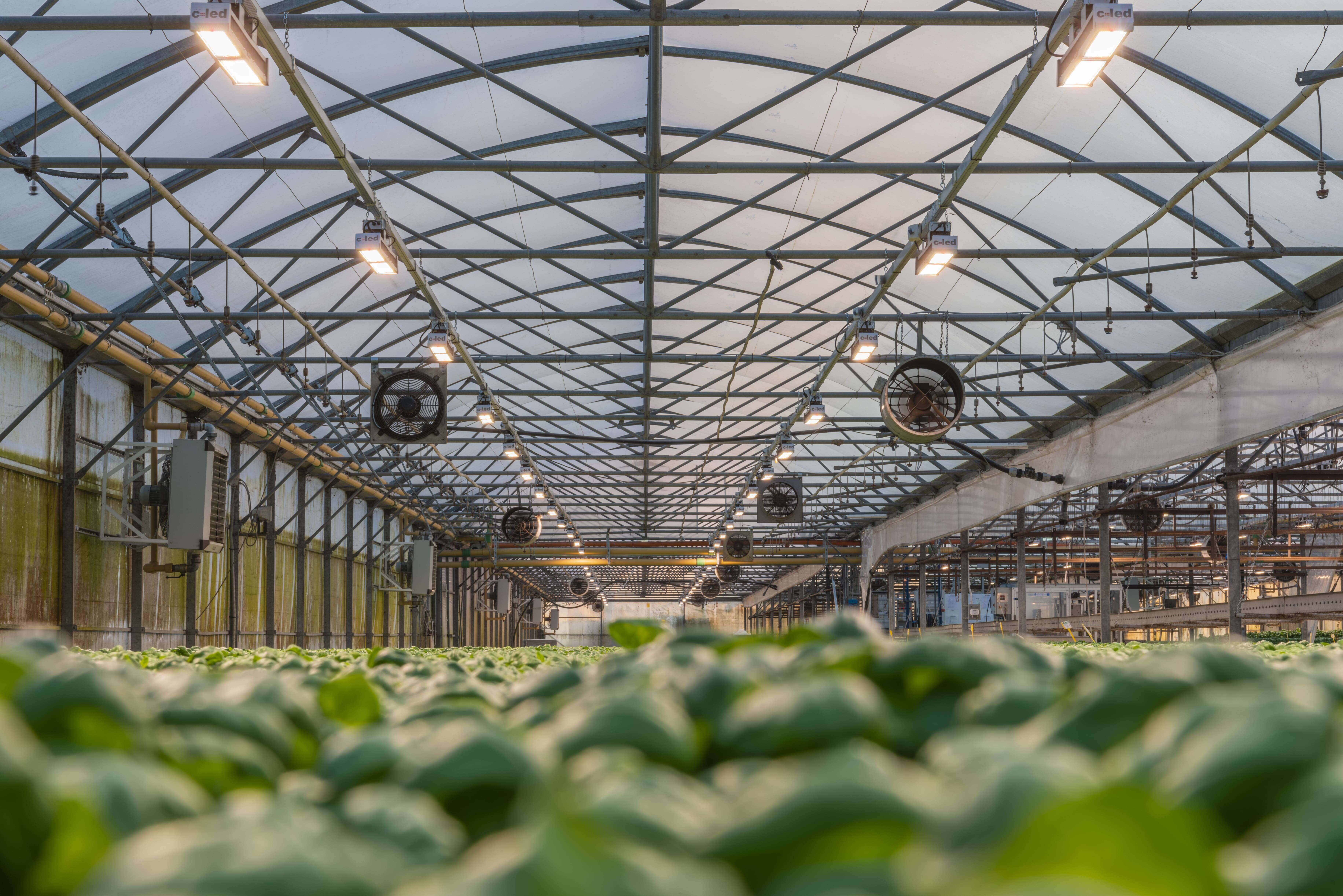 Grow Light Products | C-LED | C-LED